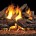 Real Fyre Charred Oak Stack Fireplace Log Set | The Energy House